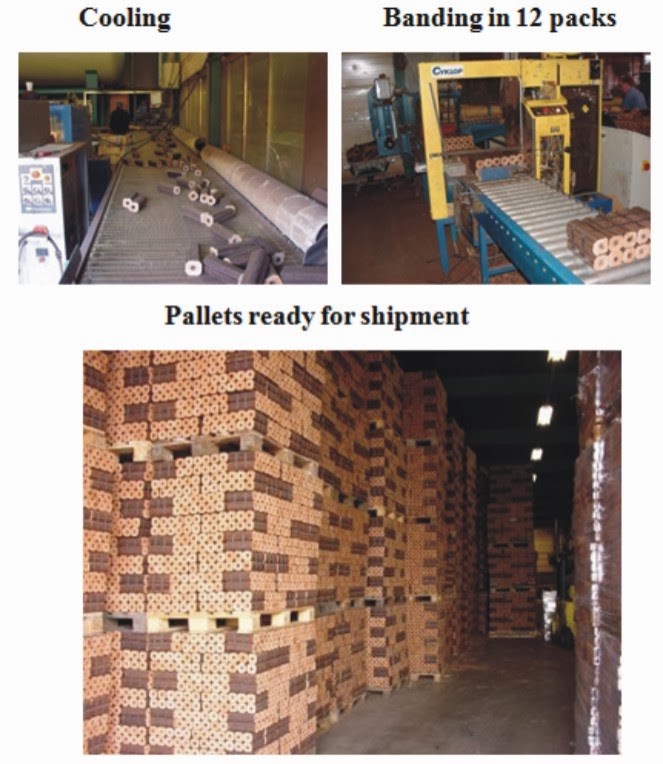 Biomass Industrial Innovative Projects: EFB Briquetting For Bioenergy ...