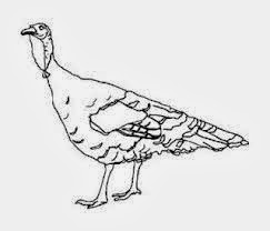 La gradinita: PLANSE DE COLORAT