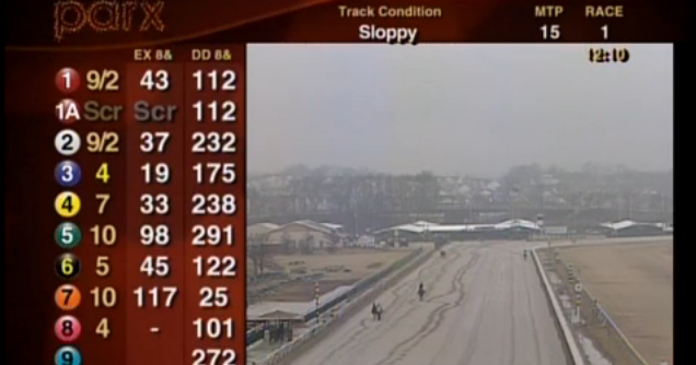 PARX RACING ~ Race & Sports Book Especialistas