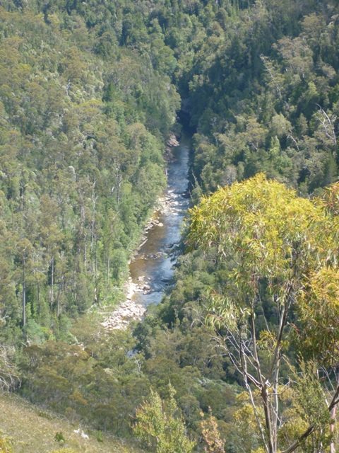 Notas Literarias: Febrero-Franklin River: los orígenes del movimiento ...