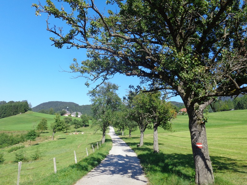 Wanderland Austria: Von Grünbach über Scheuchenstein nach Waldegg