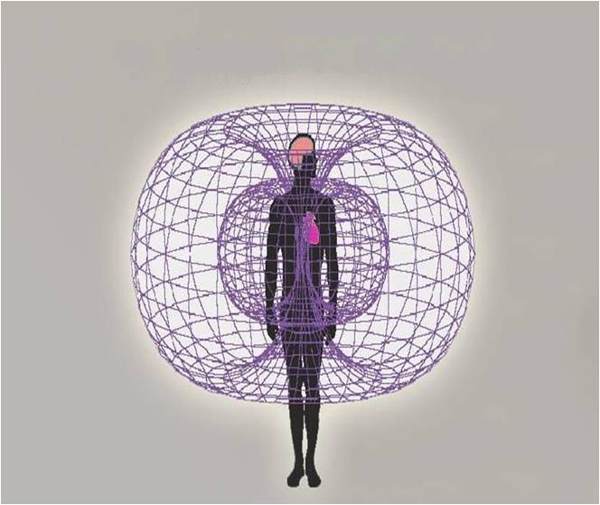 Biomagnetismo: Biomagnetism