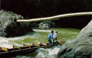 entornos / ... Nicaragua, volcán y frontera: Reserva de la Biosfera Bosawas