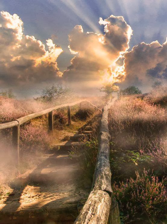 Photo of the day: Cool Photos