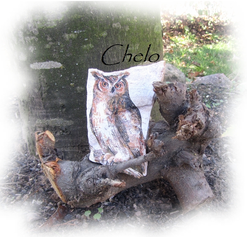 El rincón de Chelo: Un búho....