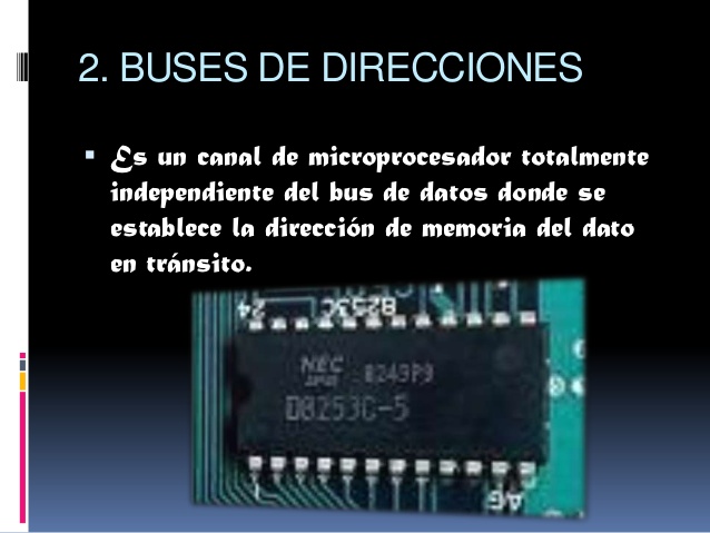 Buses informáticos