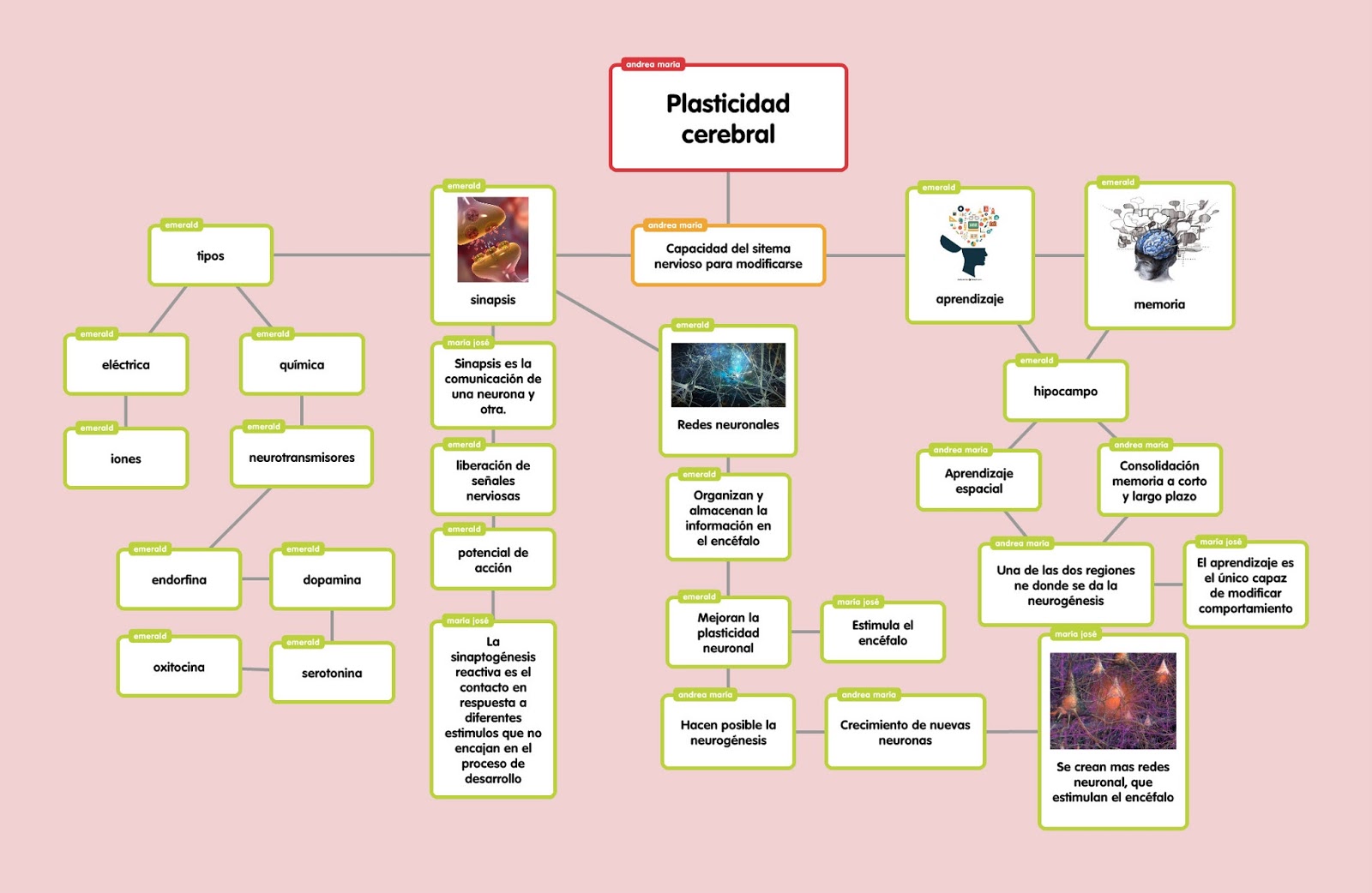 Plasticidad neuronal y aprendizaje: enero 2017