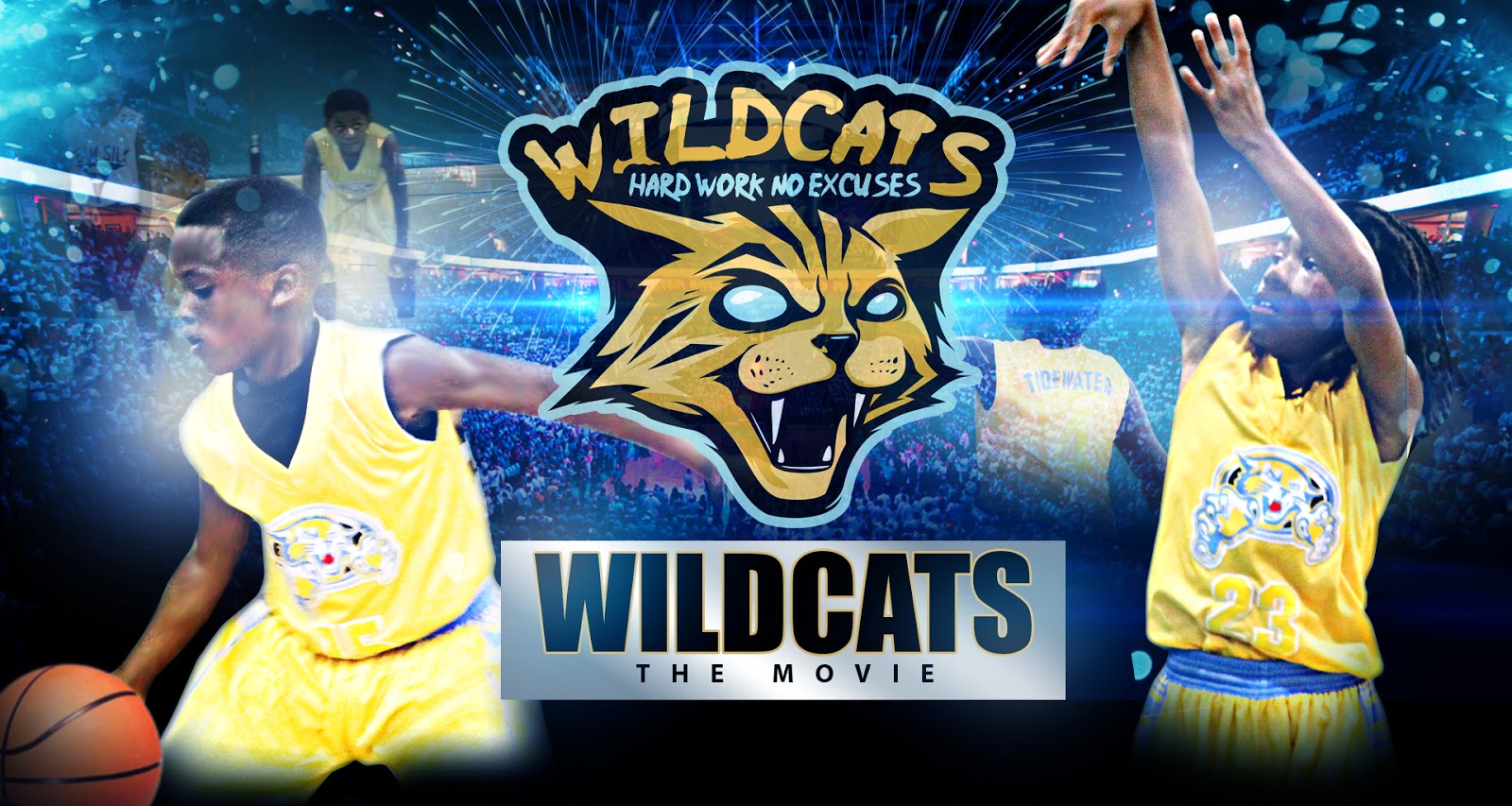 Airplanes and Dragonflies: “WILDCAT” Documentary To Show Spirit Of ...