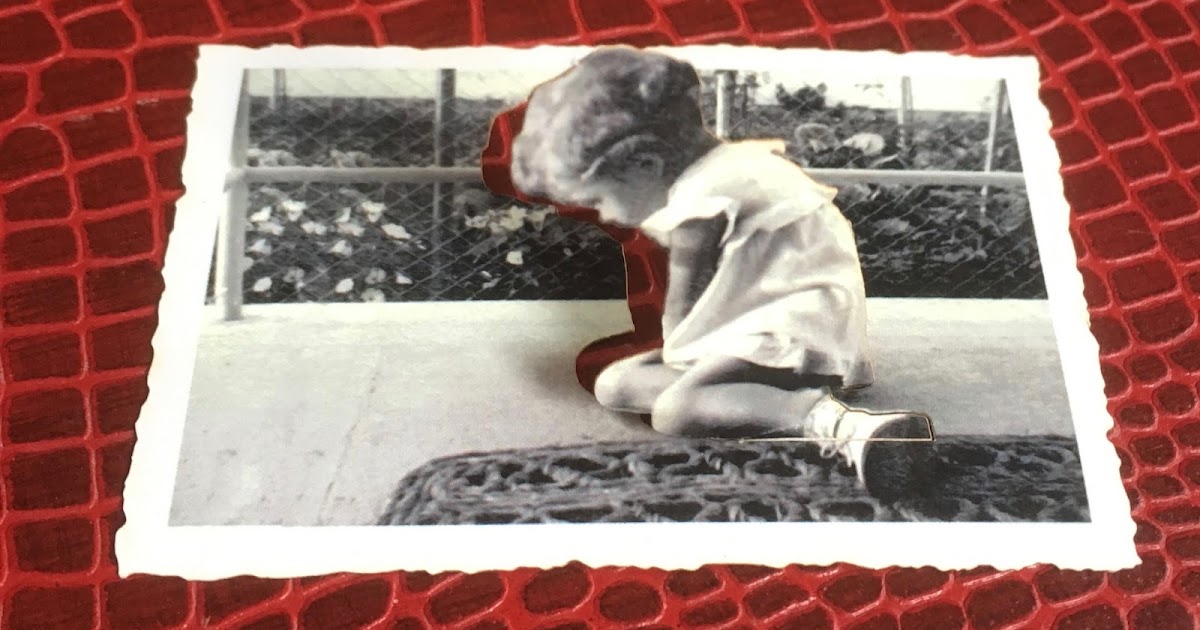 A bride abattue: Vies de papier de Benoit Faivre et Tommy Laszlo