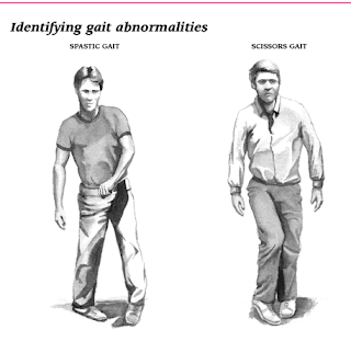 Un Paso Adelante: Marcha en Stepagge