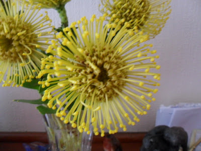 Simply Sue's Simple Diary: October 2012