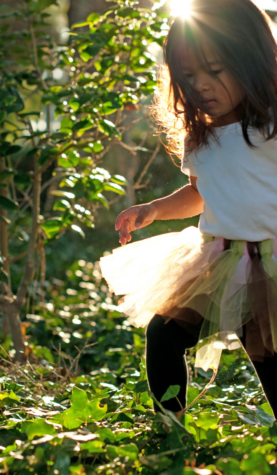 Michelle Hansuvadha Photography: Ninnie