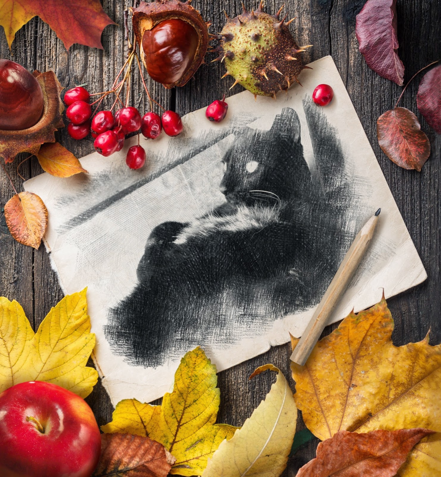 Melissa's Mochas, Mysteries and Meows: Caturday Art: Autumn Pencil Drawing
