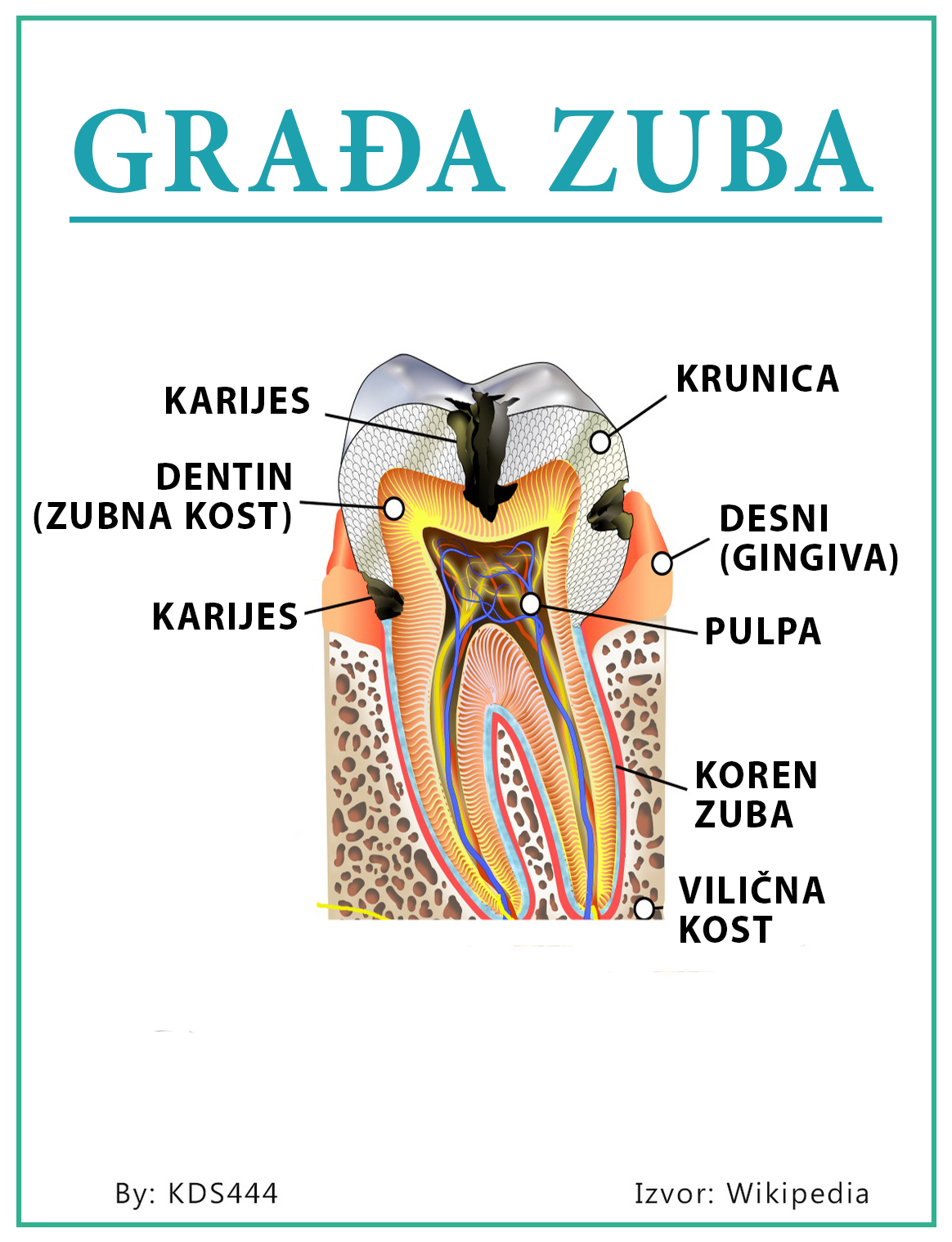 Kada i zašto nastaje karijes ~ Stomatološka ordinacija Nešković Dent