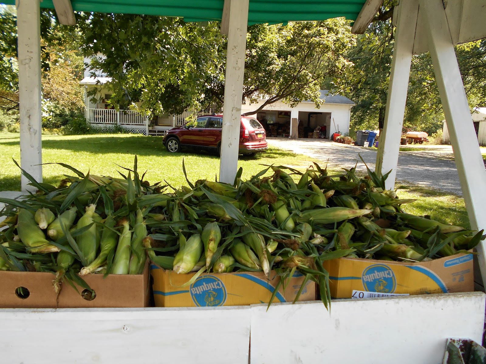 New York State of Mind: LOCAL ROADSIDE VEGETABLE STANDS