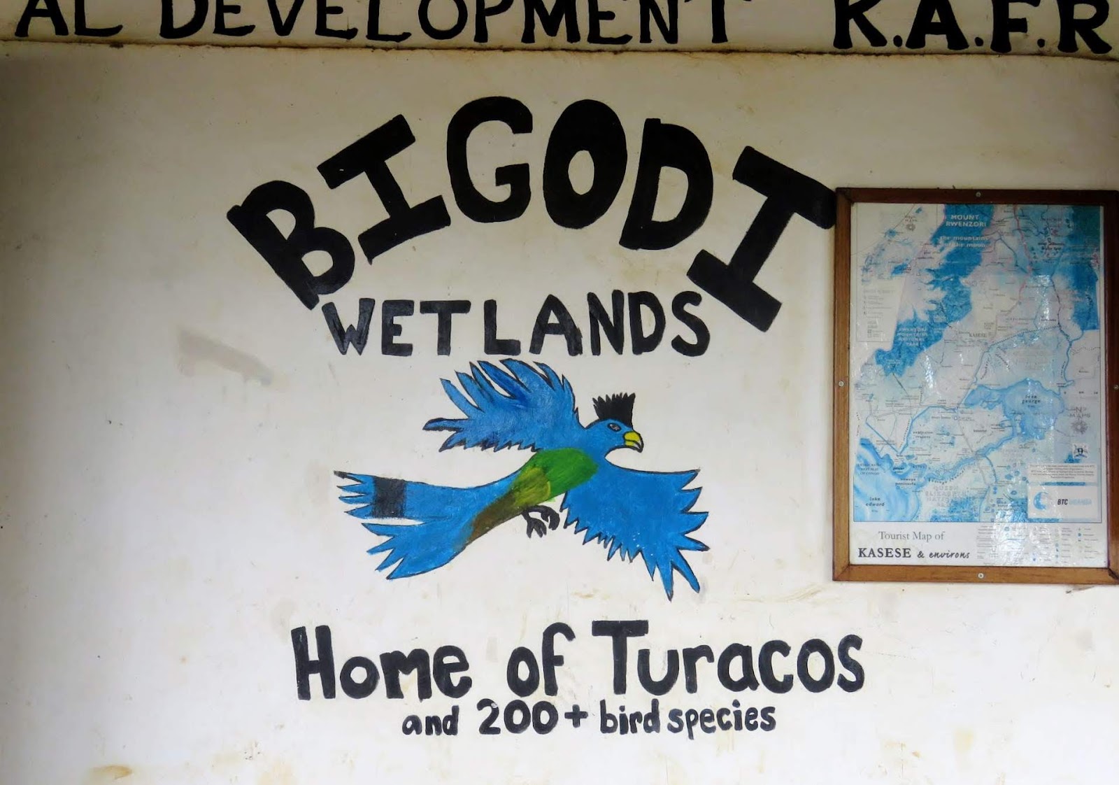 What's It Like to Visit Bigodi Wetlands Sanctuary on a Trip to Uganda?