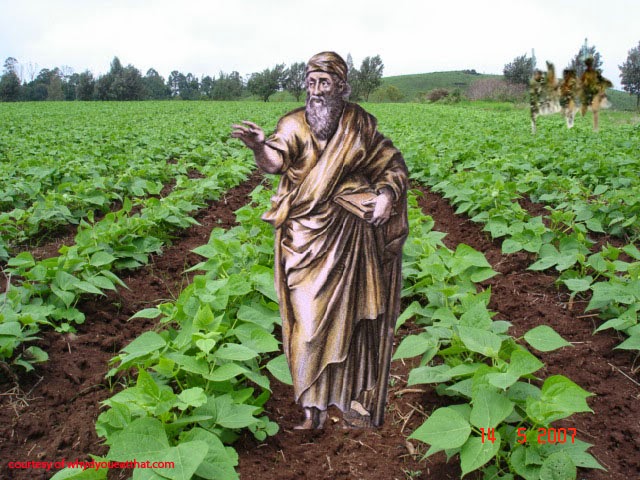 Big Myrtle's Tea Shoppe and Egg Emporium: Hurry, Curry Favor With Fava ...