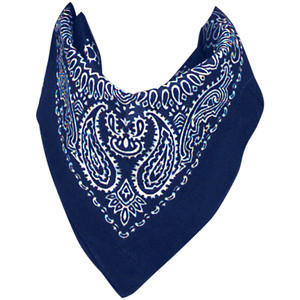 Sillibuss: Blue Bandanna