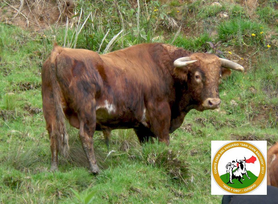PERÚ TOROS: TOROS DE LA GANADERÍA PARRA PARA CUTERVO 2017