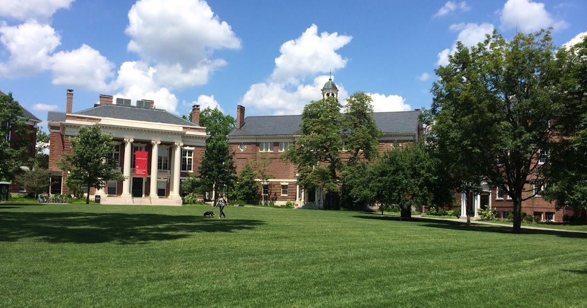 RENeW: Terrific Experience as a Summer Fellow at the Radcliffe ...