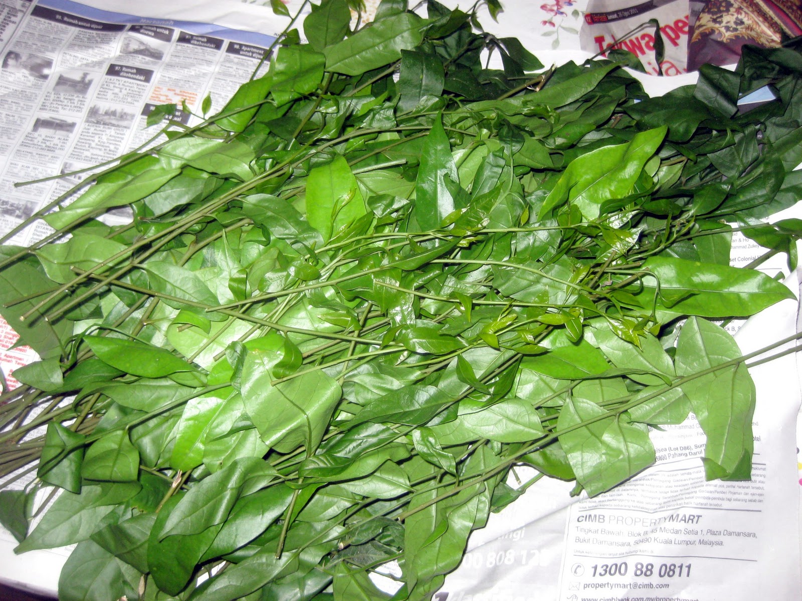 RESEPI NENNIE KHUZAIFAH: MASAK LEMAK PUCUK CEMPERAI