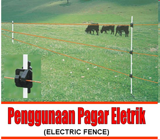 bukan doktor veterinar: Penggunaan Pagar Eletrik (ELECTRIC FENCE)