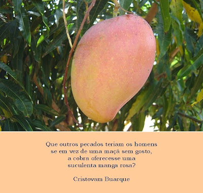 Guardados e Achados: Manga rosa