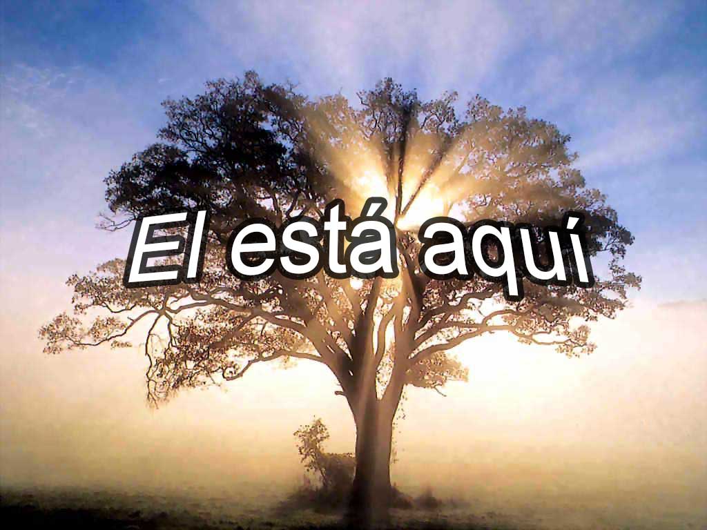 El esta aqui