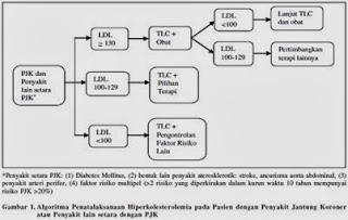 dolphin: Hiperkolesterolemia (lanjutan)