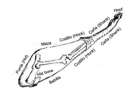 HAMS FROM SPAIN: IBERICO, SERRANO, TERUEL, BY ANTONIO MATA, GOURMET ...