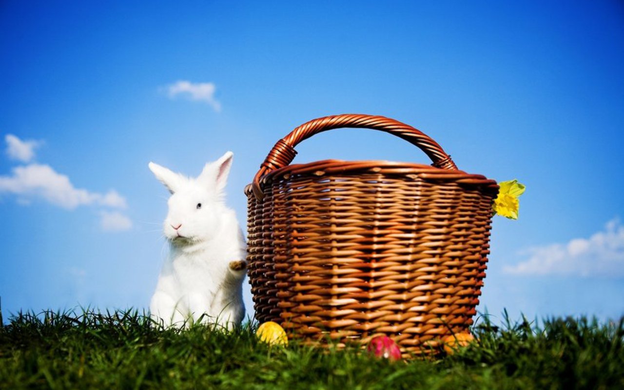 Imagini de Paste - Iepurasi De Paste - Poze Imagini Desktop