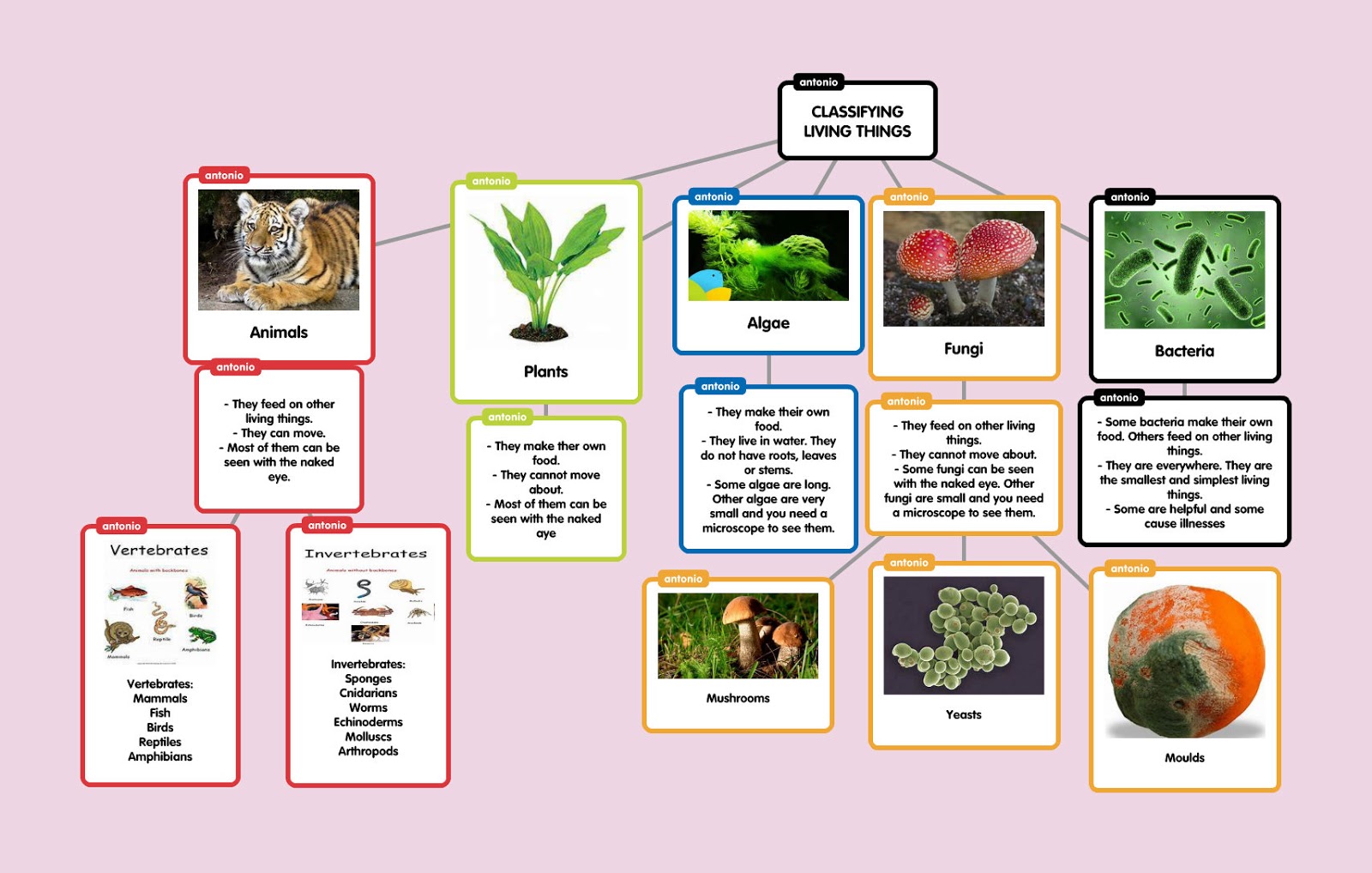 Classifying living things: diciembre 2017