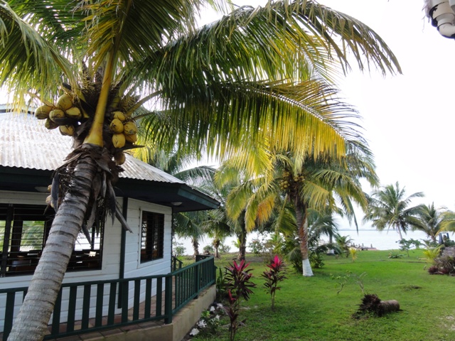 Belize Walkabout: Visit to Gales Point Manatee