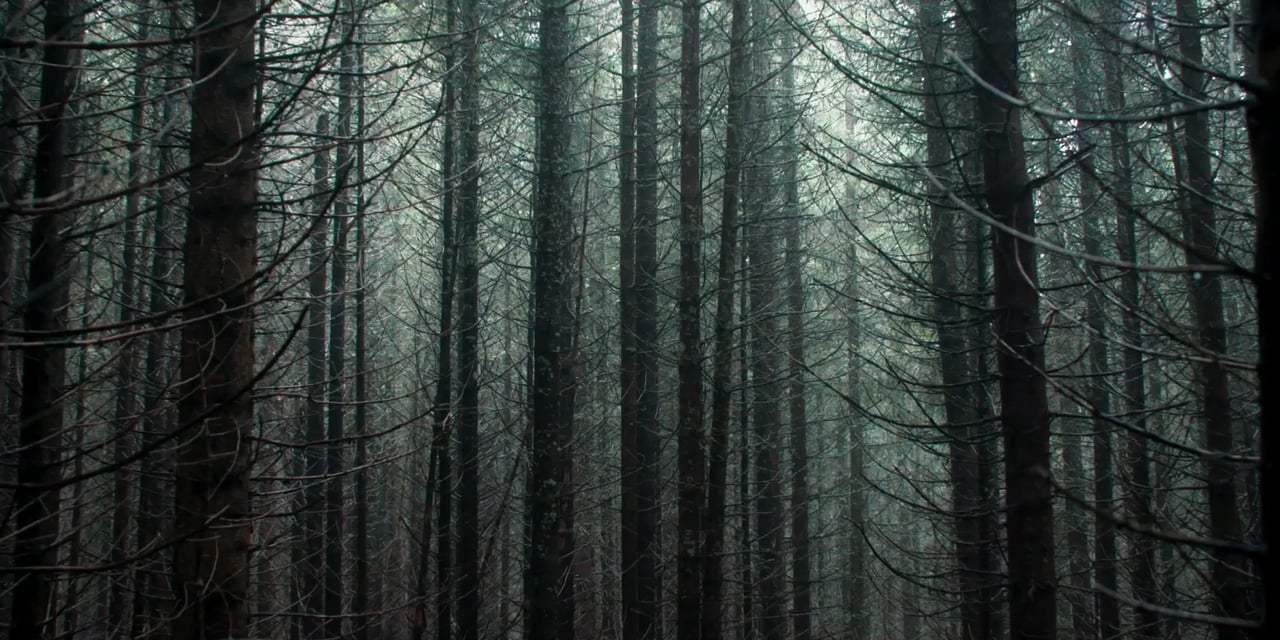 Il a osé !: The Ritual