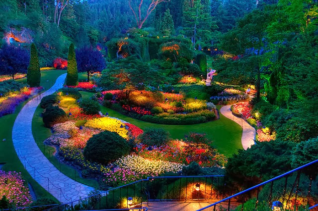 Unique and rare flowers in the world