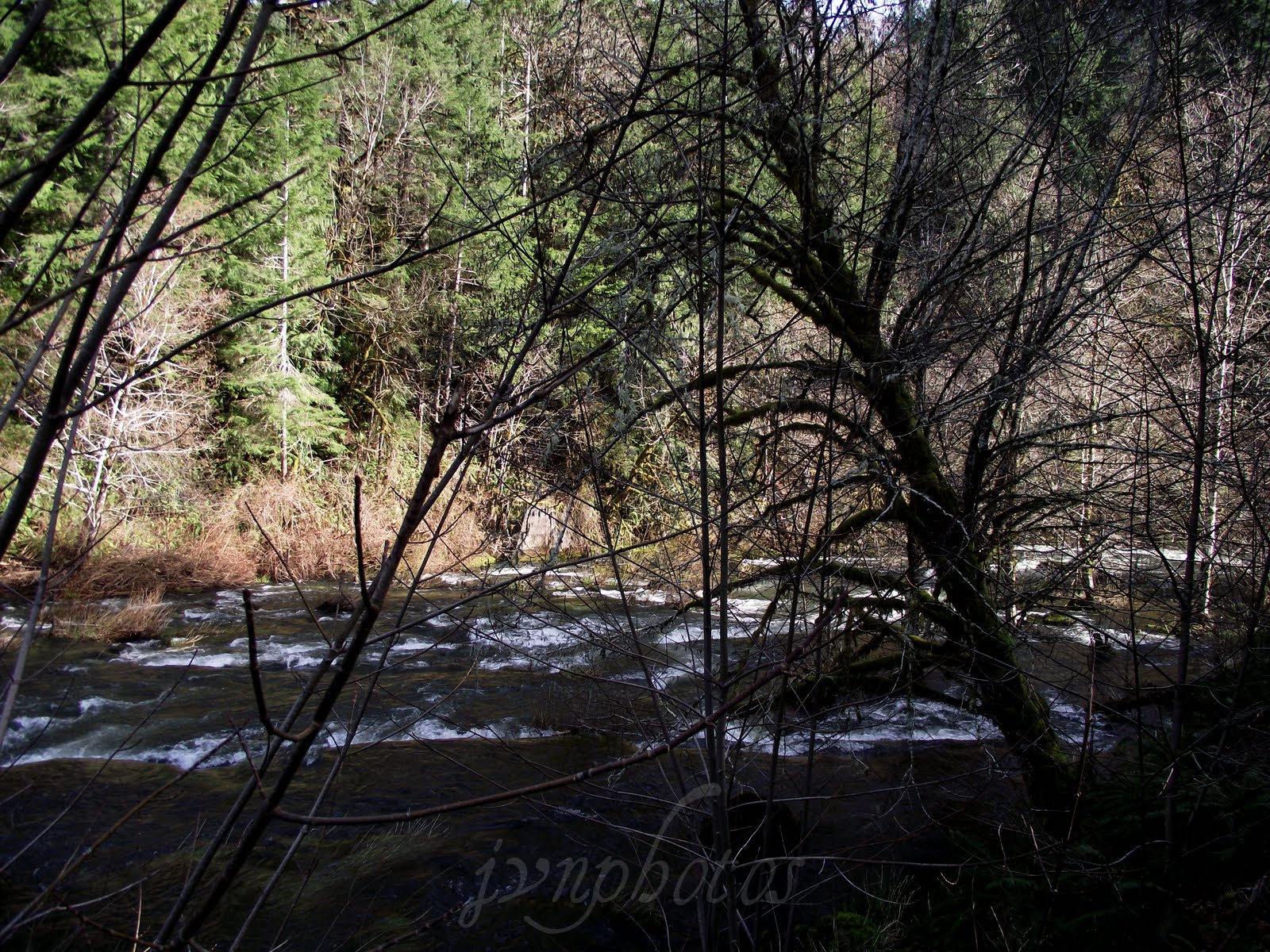 Photos by Jan: Triangle Lake, Oregon and Further Adventures