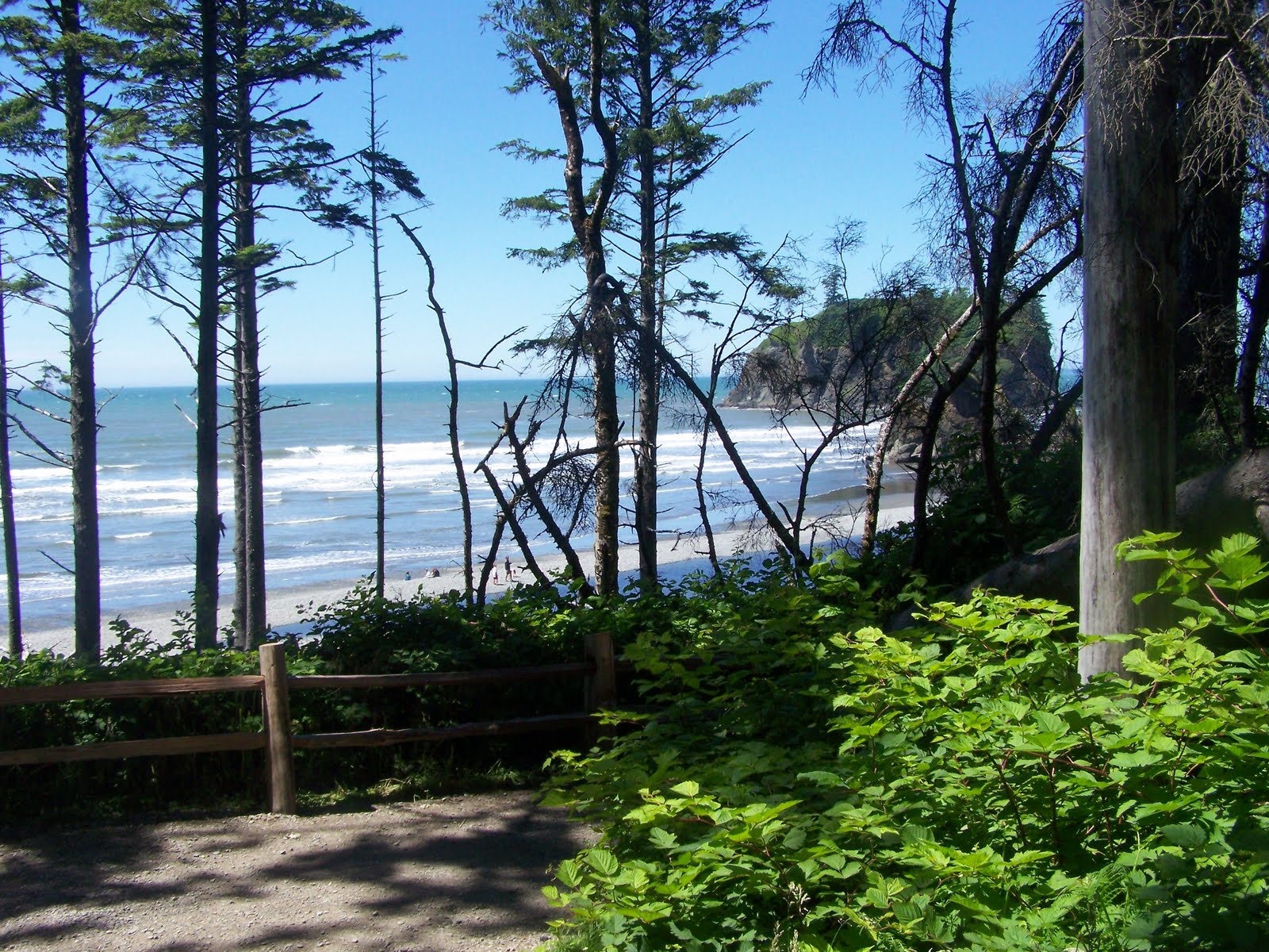 {Coastal Nest}: Ruby Beach..my corner of the world..