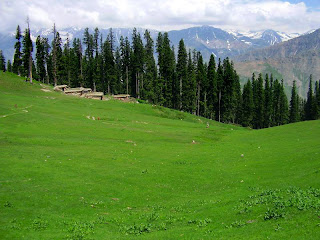 Travels And Visits: Naran Valley