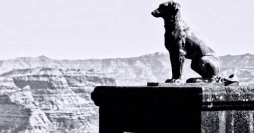 Famous Dogs in History: Waghya: Sacrificed Himself to Be With His Dead ...
