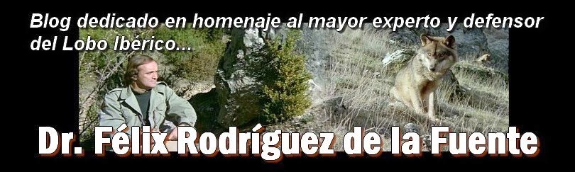 Yo Soy Amig@ del Lobo: Los Verdes reclaman al Parlamento Europeo un ...