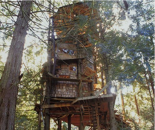 Stalking Seattle: The "Hollywood" Bank Robberies