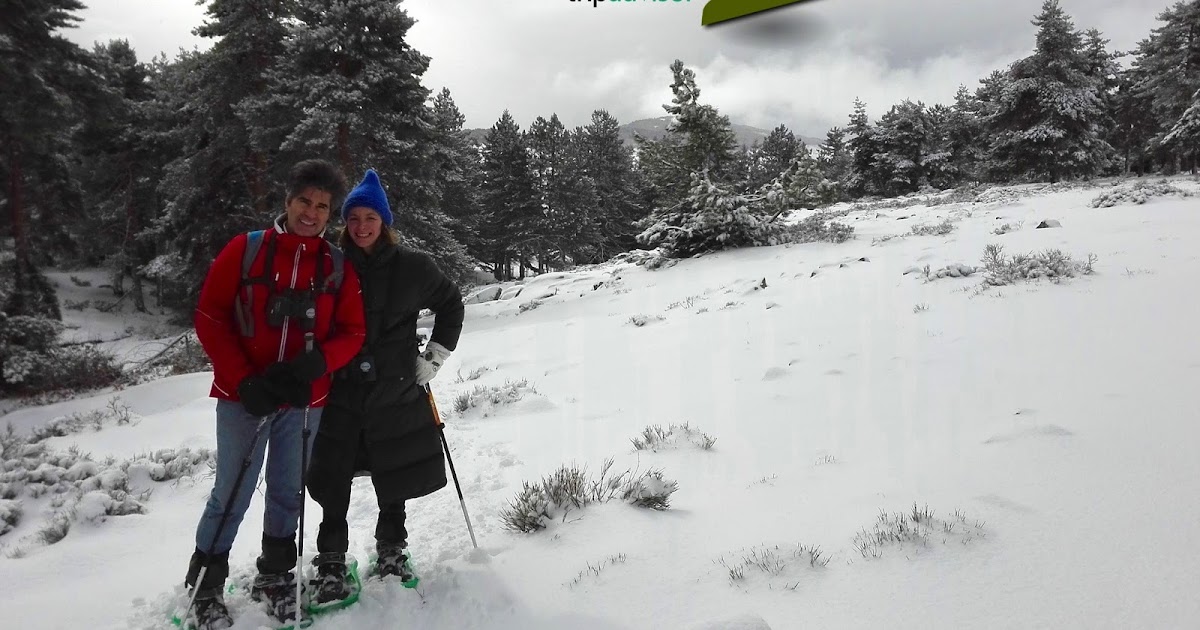 Cuaderno de Campo de Graellsia Ecoturismo: Tour Privado con Raquetas de ...