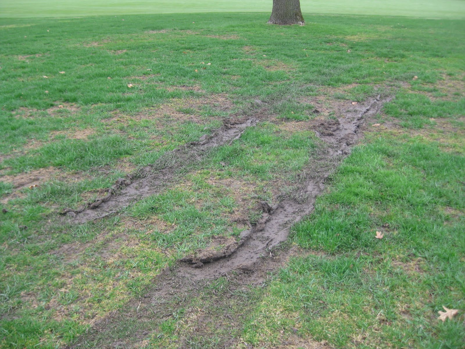 Northmoor Country Club Golf Course Operations: Carts on the Path