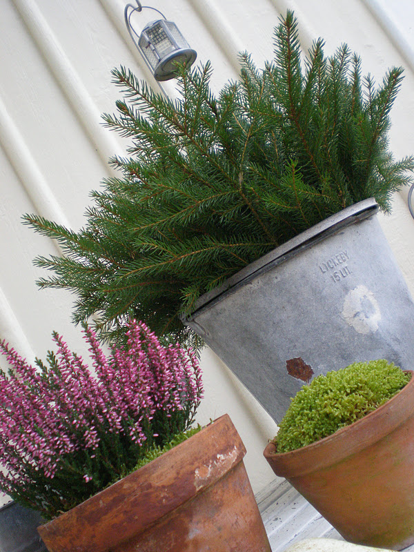 Lizas Lantliv: Granris & Handdukar..