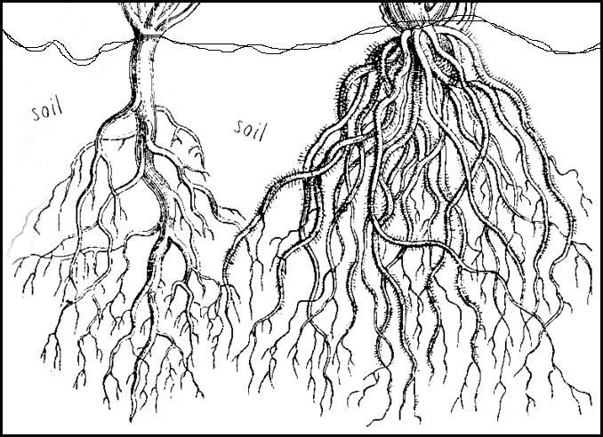 The Cloistered Heart: Revisiting Contemplative Renewal