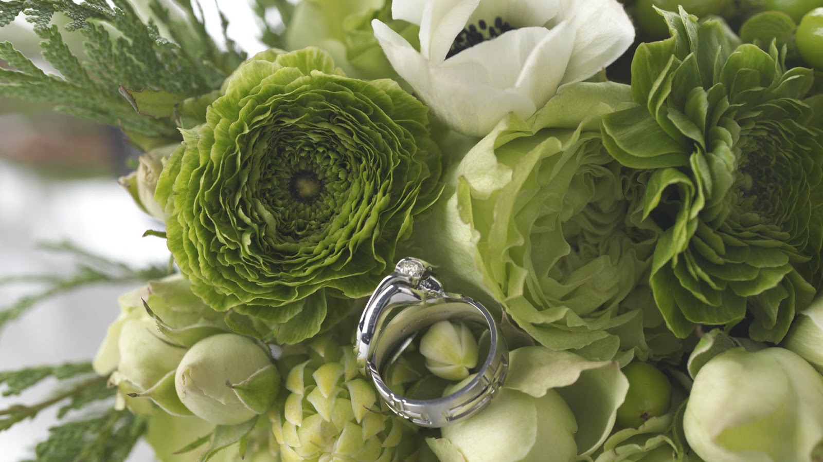 Зеленые Букеты Фото – Telegraph