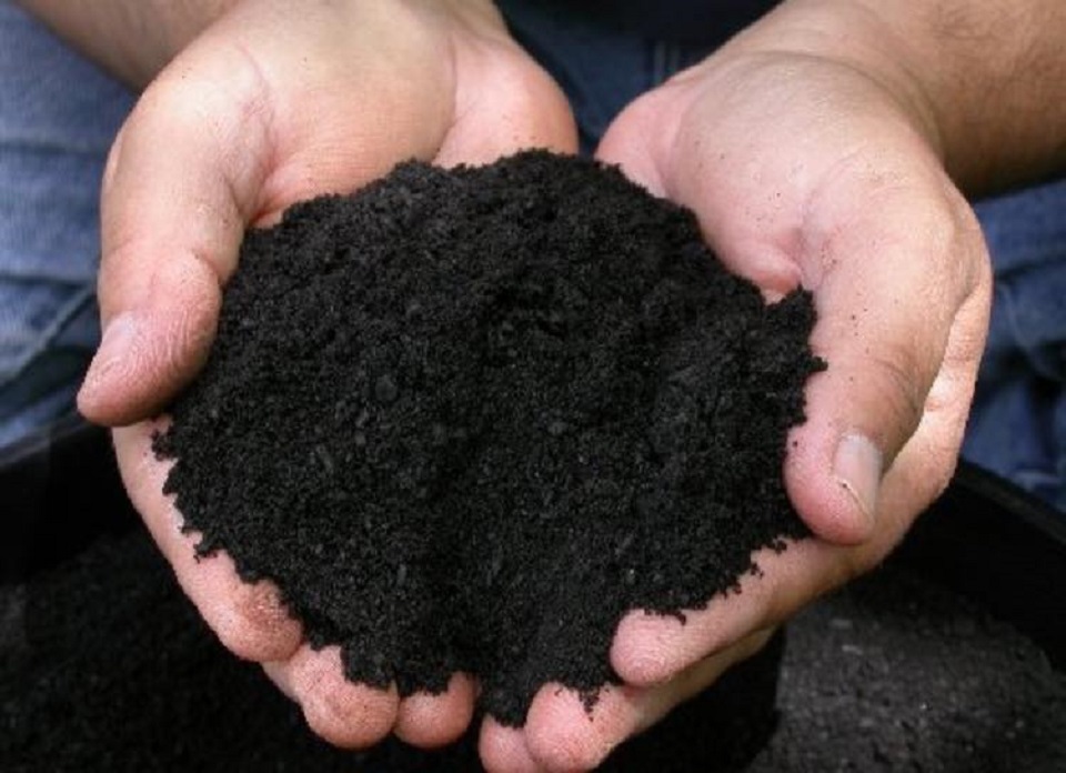 Peran dan Manfaat Asam Humat Terhadap Fisiologis Tanaman - Blog Seputar ...