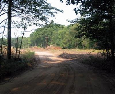 RETRO KIMMER'S BLOG: HARRY BENNETT PHOTO COLLECTION