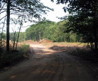 RETRO KIMMER'S BLOG: HARRY BENNETT PHOTO COLLECTION