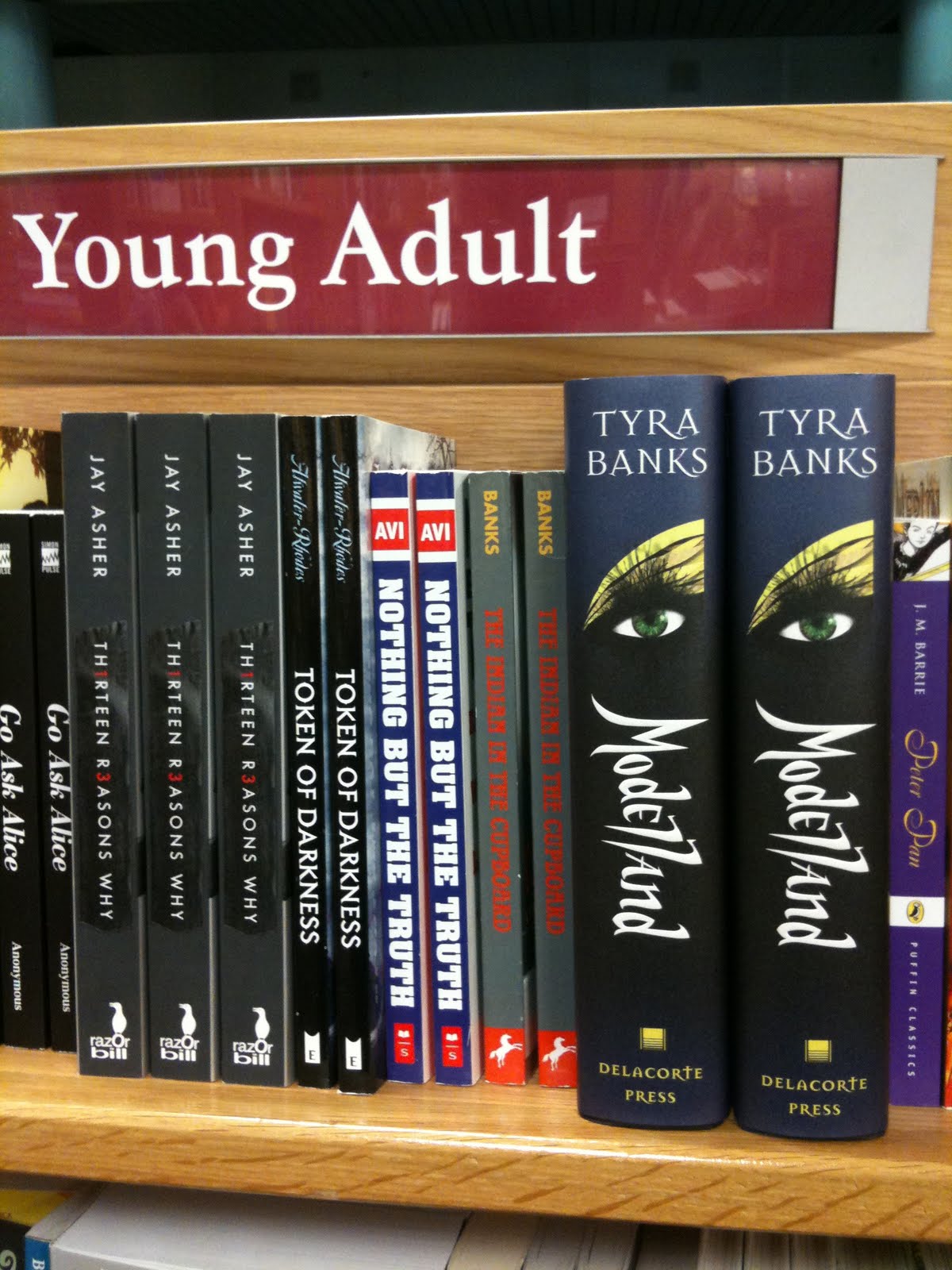 Hindsight : TYRA BANKS NOVEL - MODELLAND - WITH COVER ART DESIGNED BY ...